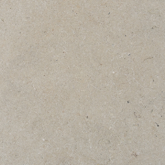 Salem Gri Kireçtaşı – Dorian Doğaltaş